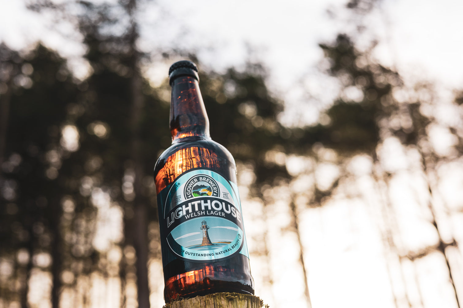 Lighthouse Lager | Gower Brewery | Award Winning Welsh Lager | 4.5% ...