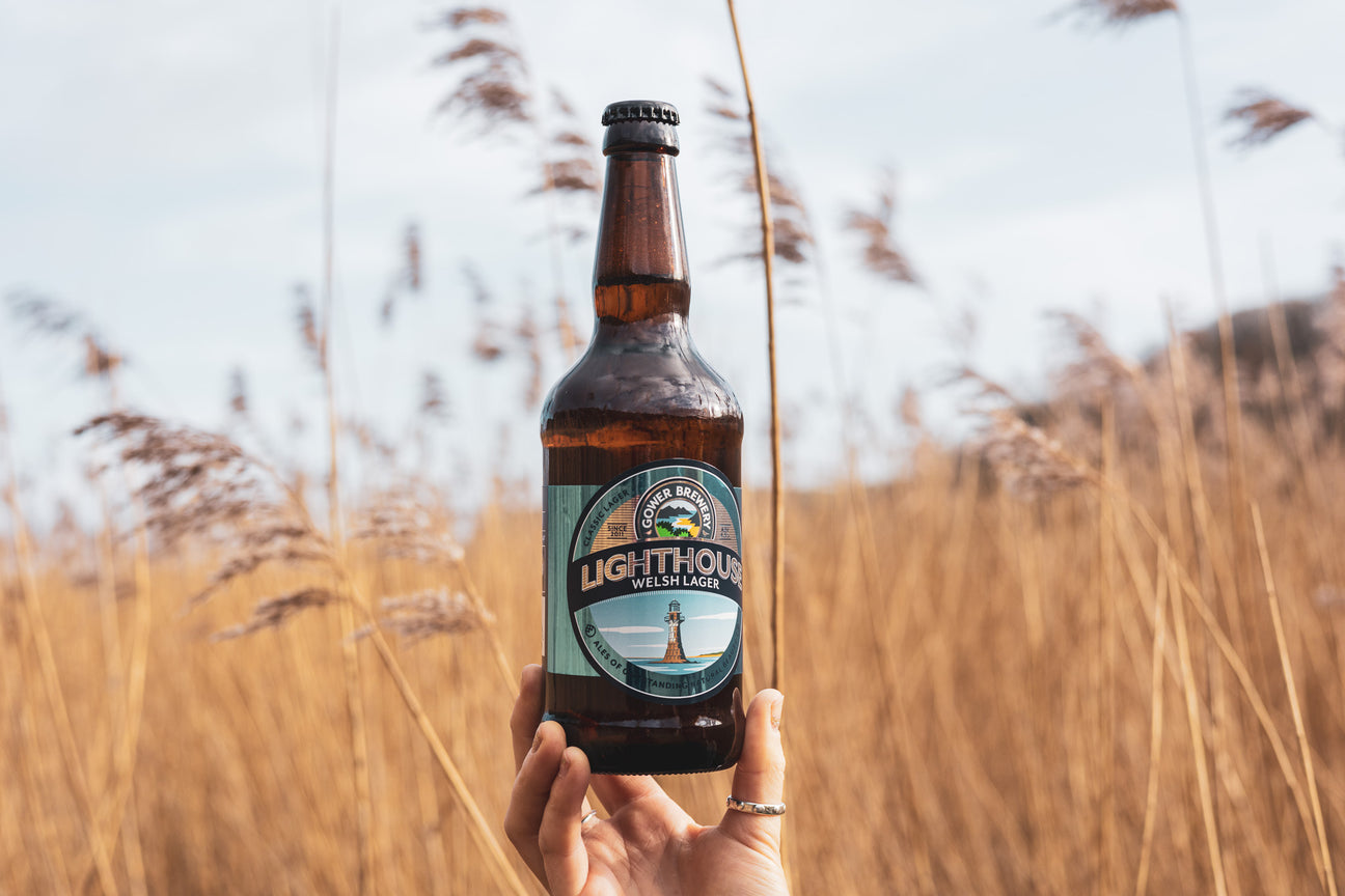 Lighthouse Lager 12 Pack | Gower Brewery | Award Winning Welsh Beer ...