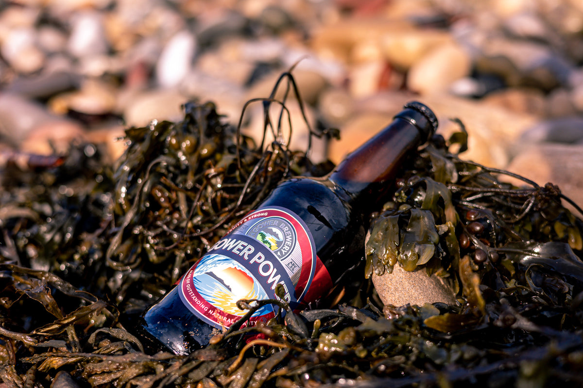 Gower Power 12 Pack | Gower Brewery | Award Winning Welsh Ale | 5.5% ...