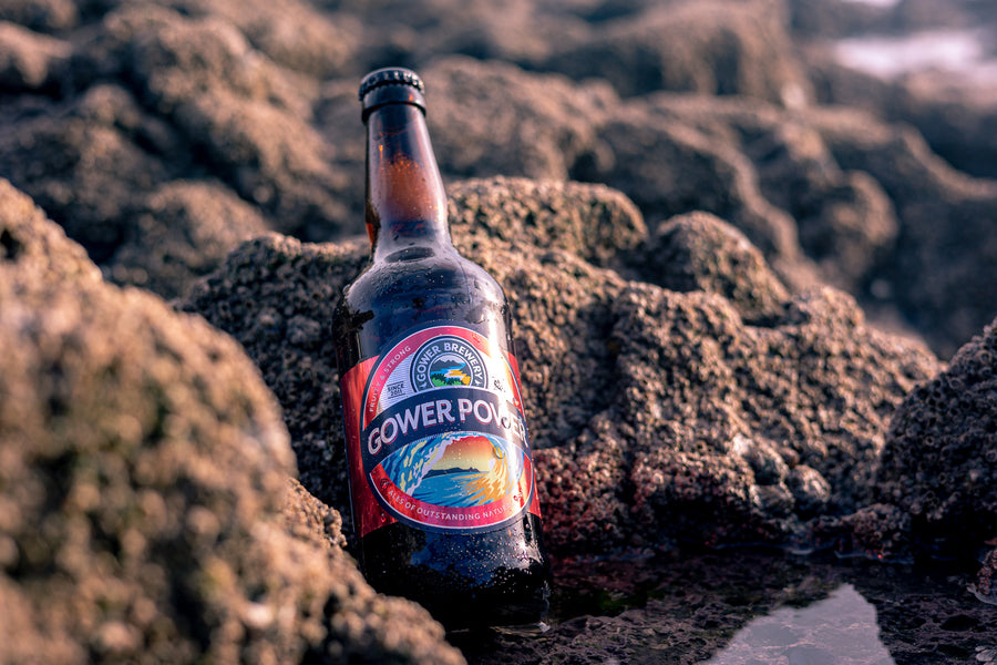 Gower Power 12 Pack | Gower Brewery | Award Winning Welsh Ale | 5.5% ...