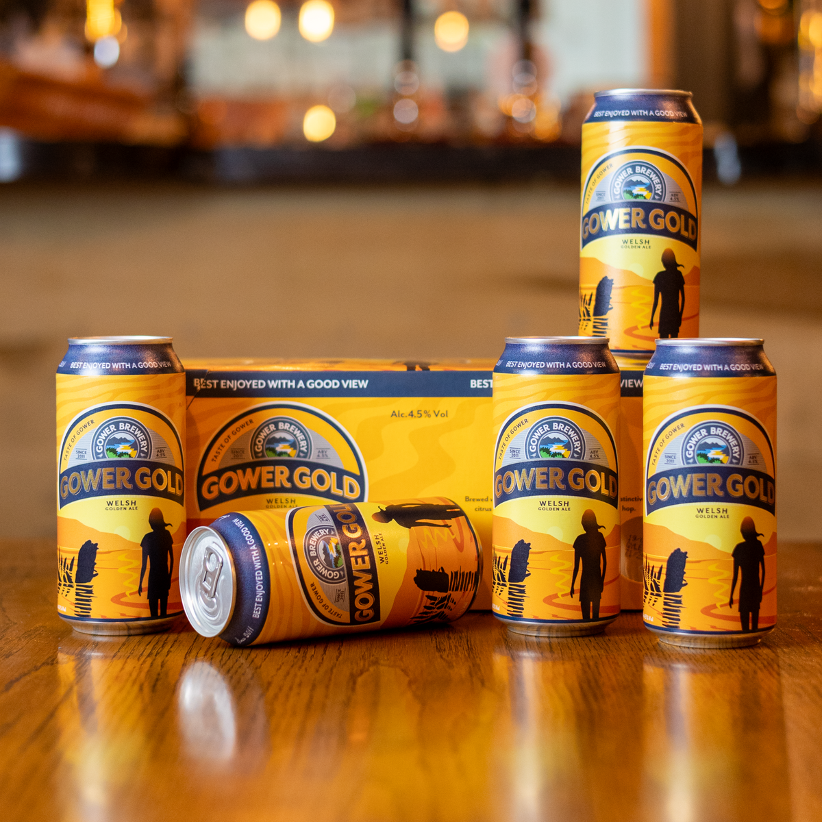 Gower Gold Ale Box of 10 Cans | Award Winning Welsh Golden Ale | 4.5% ...