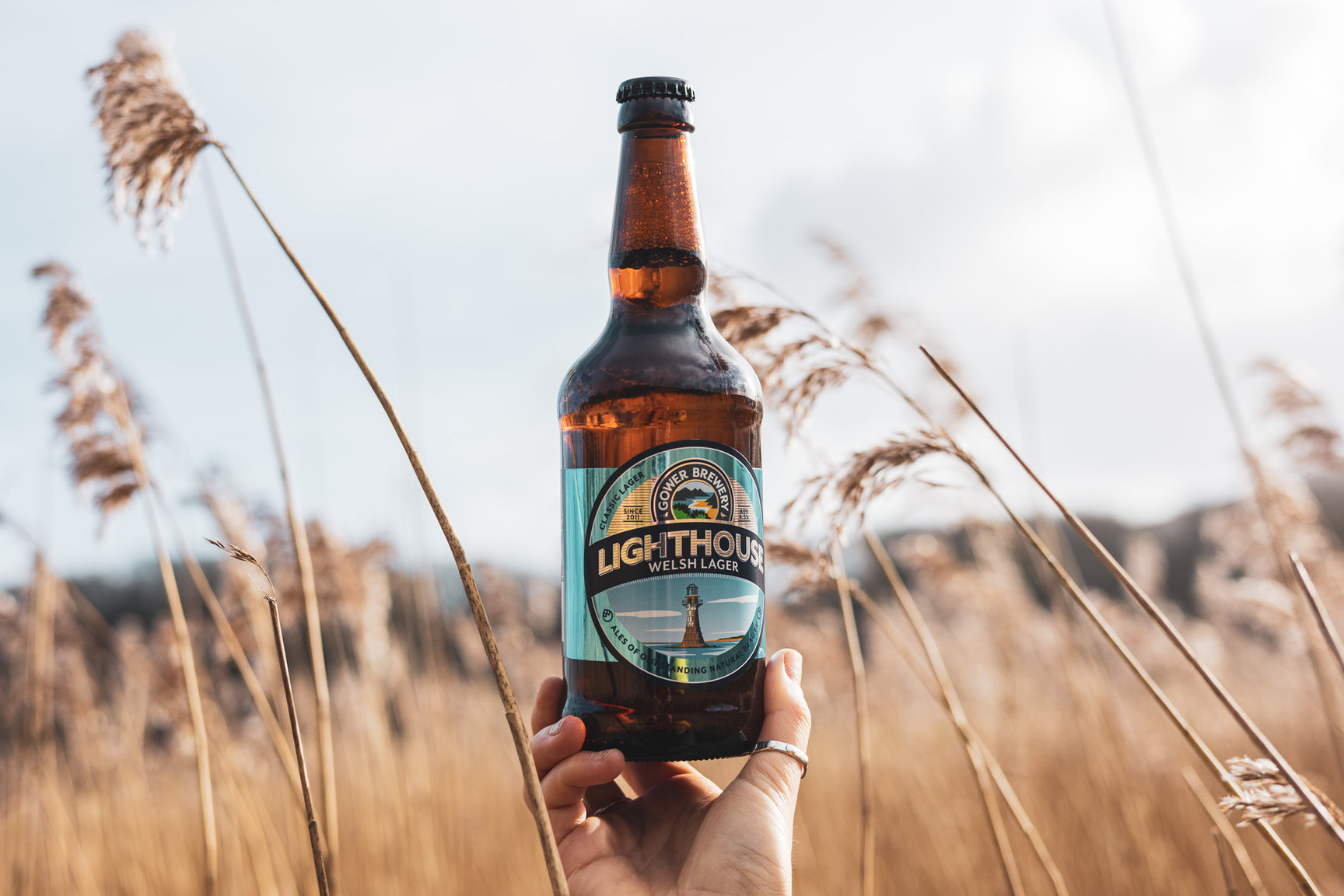 Lighthouse Lager | Gower Brewery | Award Winning Welsh Lager | 4.5% ...