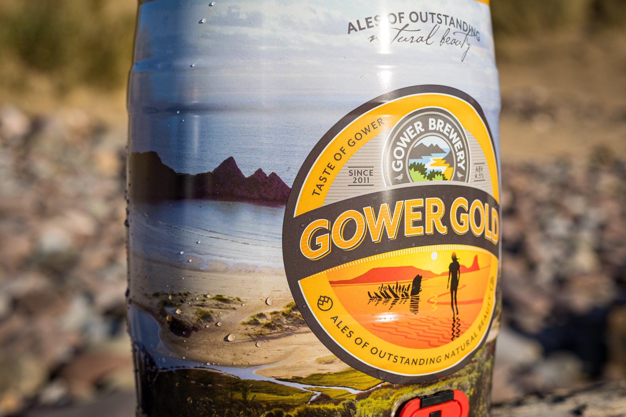 Gower Gold Mini Keg | Gower Brewery | Award Winning Welsh Ale | 4.5% ...