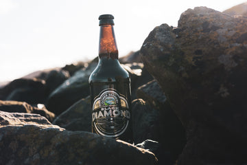 Gower Brewery | Ales of Outstanding Natural Beauty | Ales & Craft Beer ...
