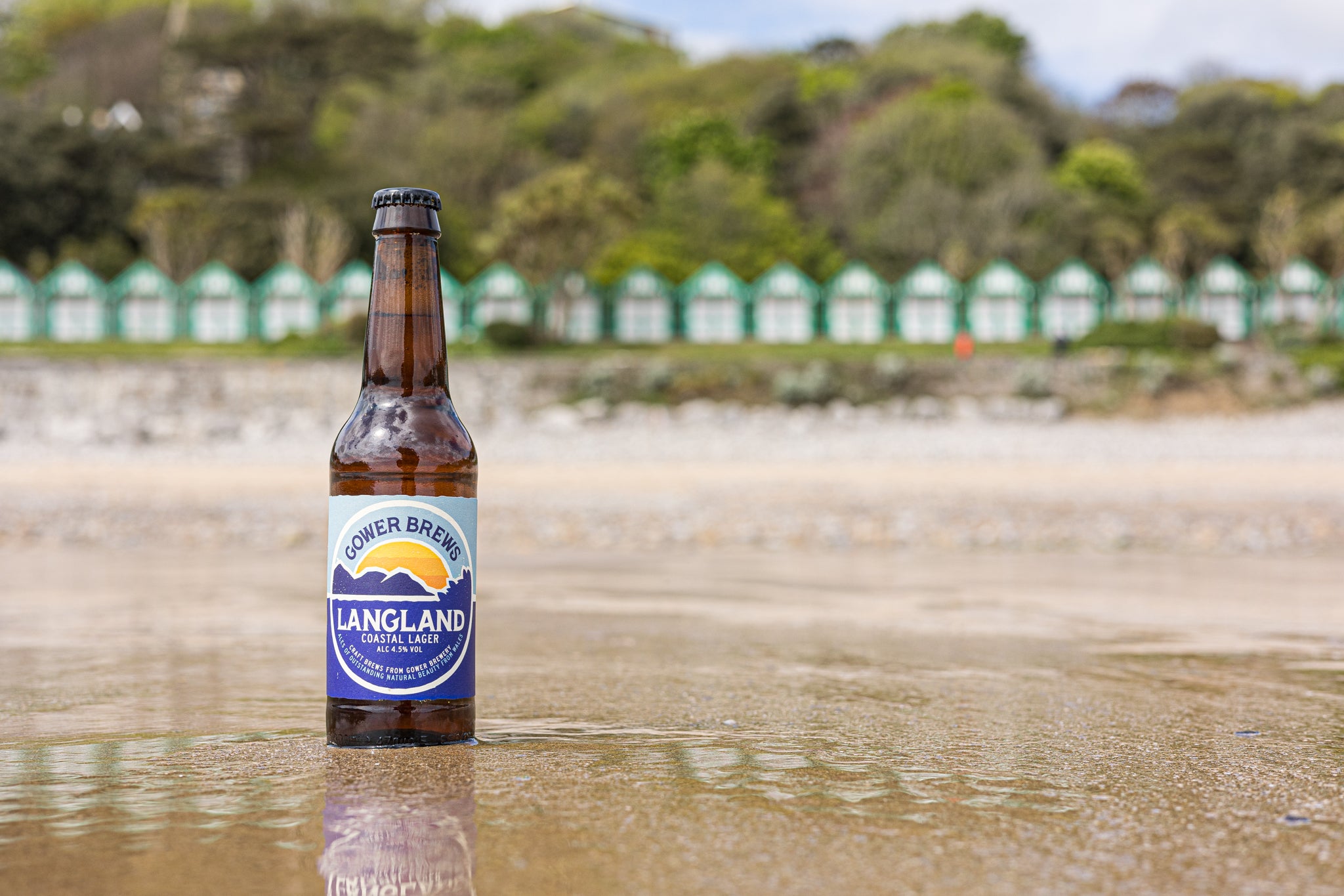 Langland Welsh Lager | Gower Brewery | Famous Welsh Craft Beer | 4.5% ...